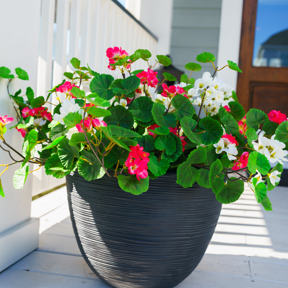 Florals – Tagged "Geraniums" – Celestial Lights